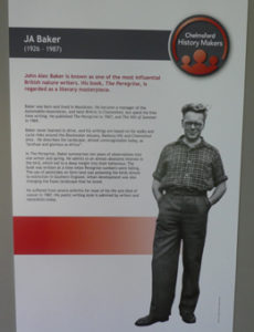 J A Baker Biography – J A Baker and the Peregrine